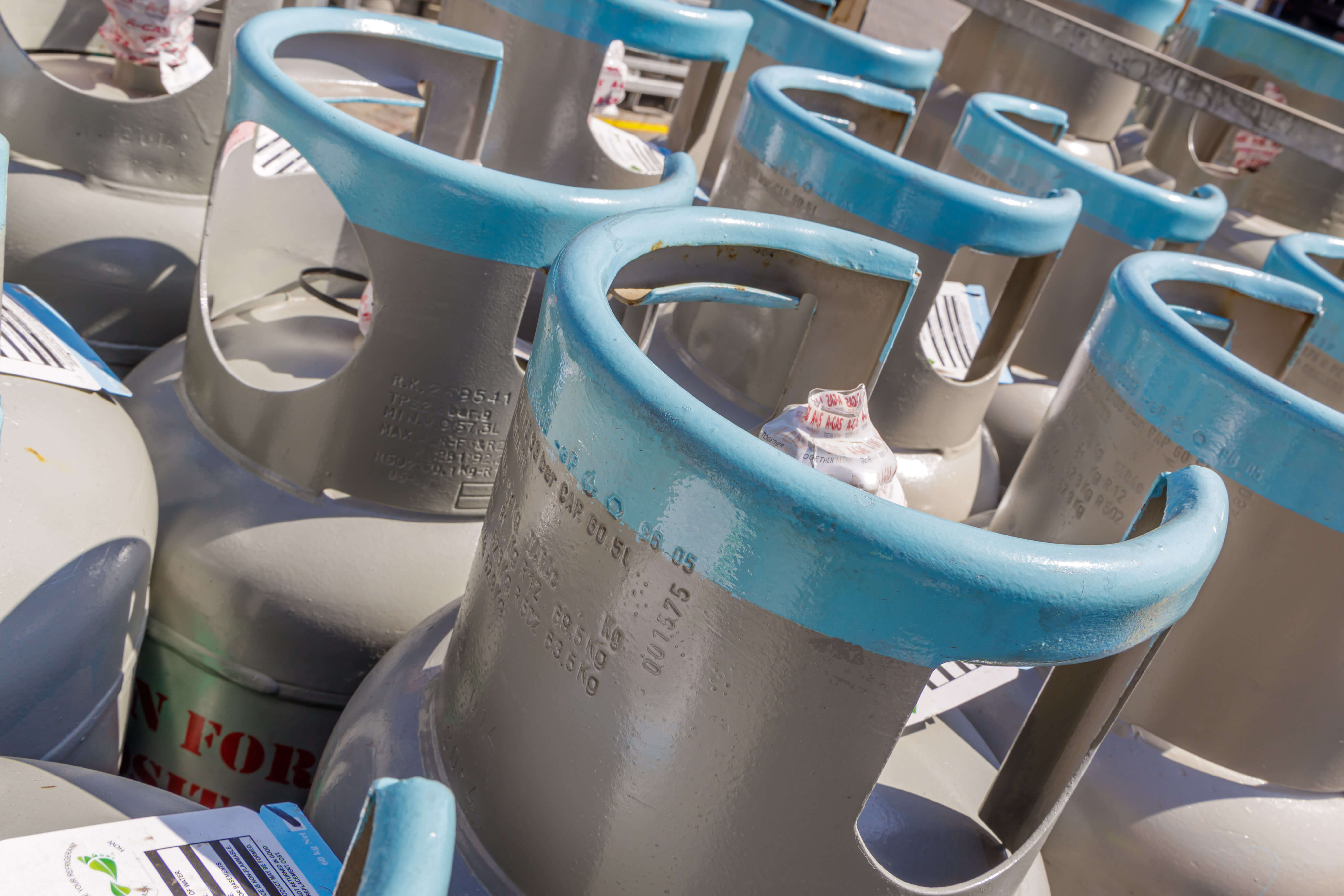 Celebrating World Ozone Day 2024